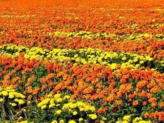 HEMMADI ----this one is for the BIKERS | ManipalBlog