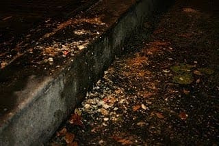 A Journey To The Pink City - Jaipur | ManipalBlog