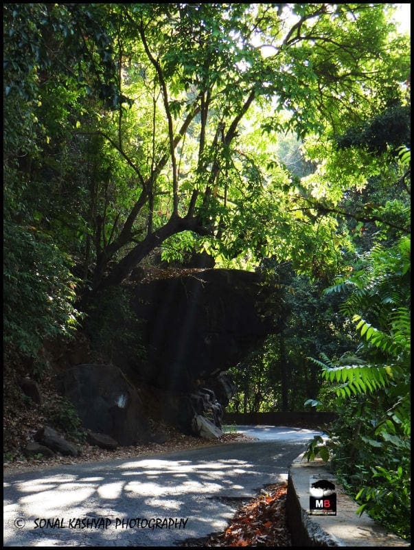 The Awesome Agumbe - ManipalBlog
