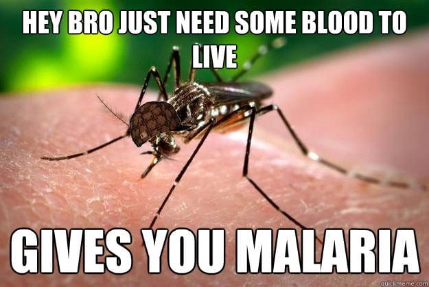 Malaria - endemic city worries | ManipalBlog