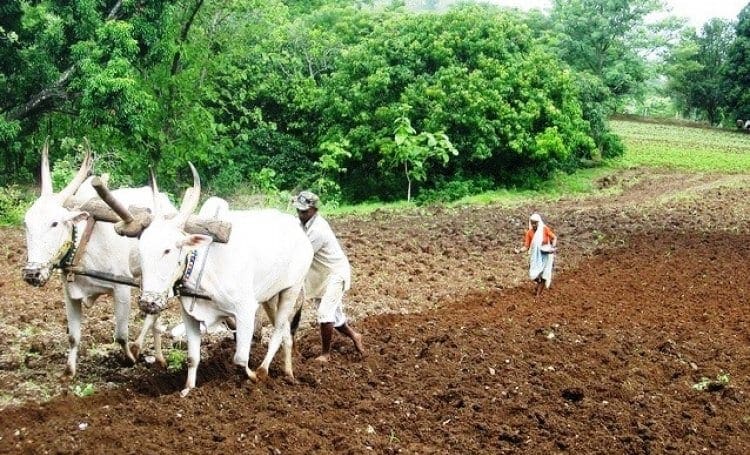Agriculture in Past and Present, a Comparison | ManipalBlog