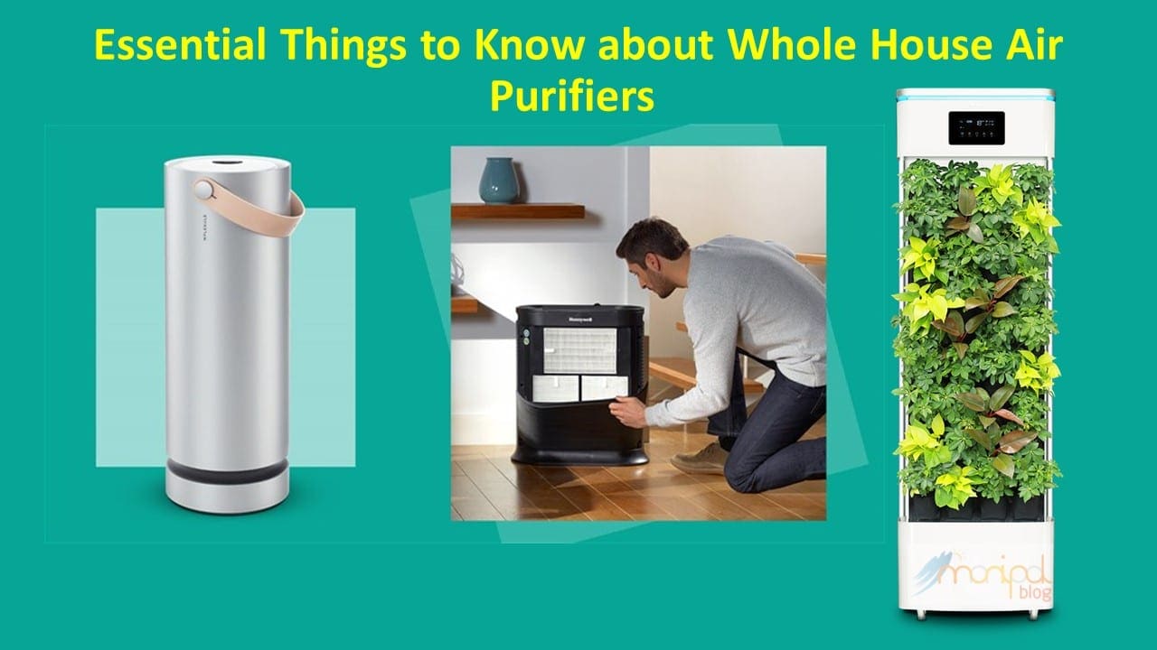 Essential Things to Know about Whole House Air Purifiers | ManipalBlog