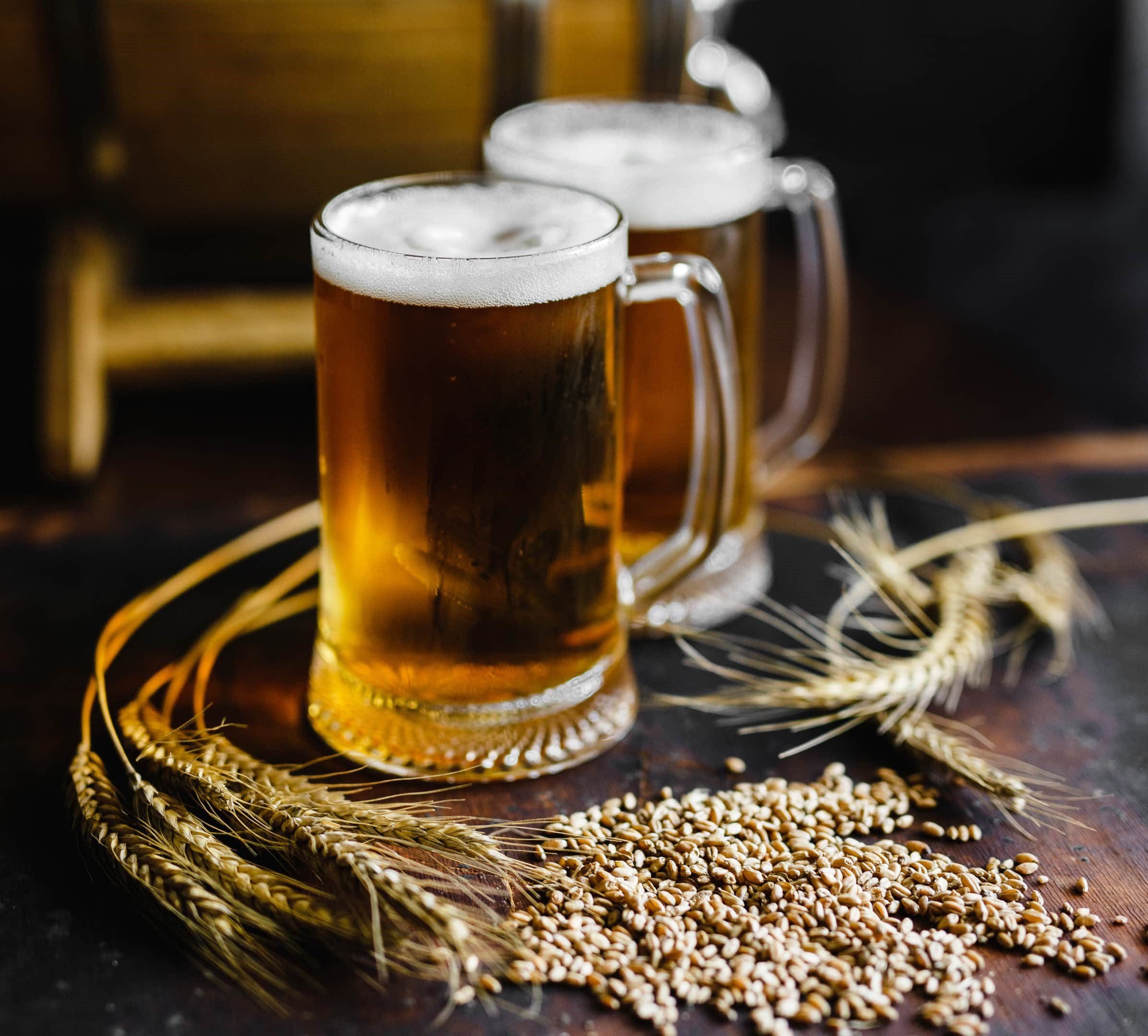 Where To Get Commercial Size Beer Brewing Equipment | ManipalBlog